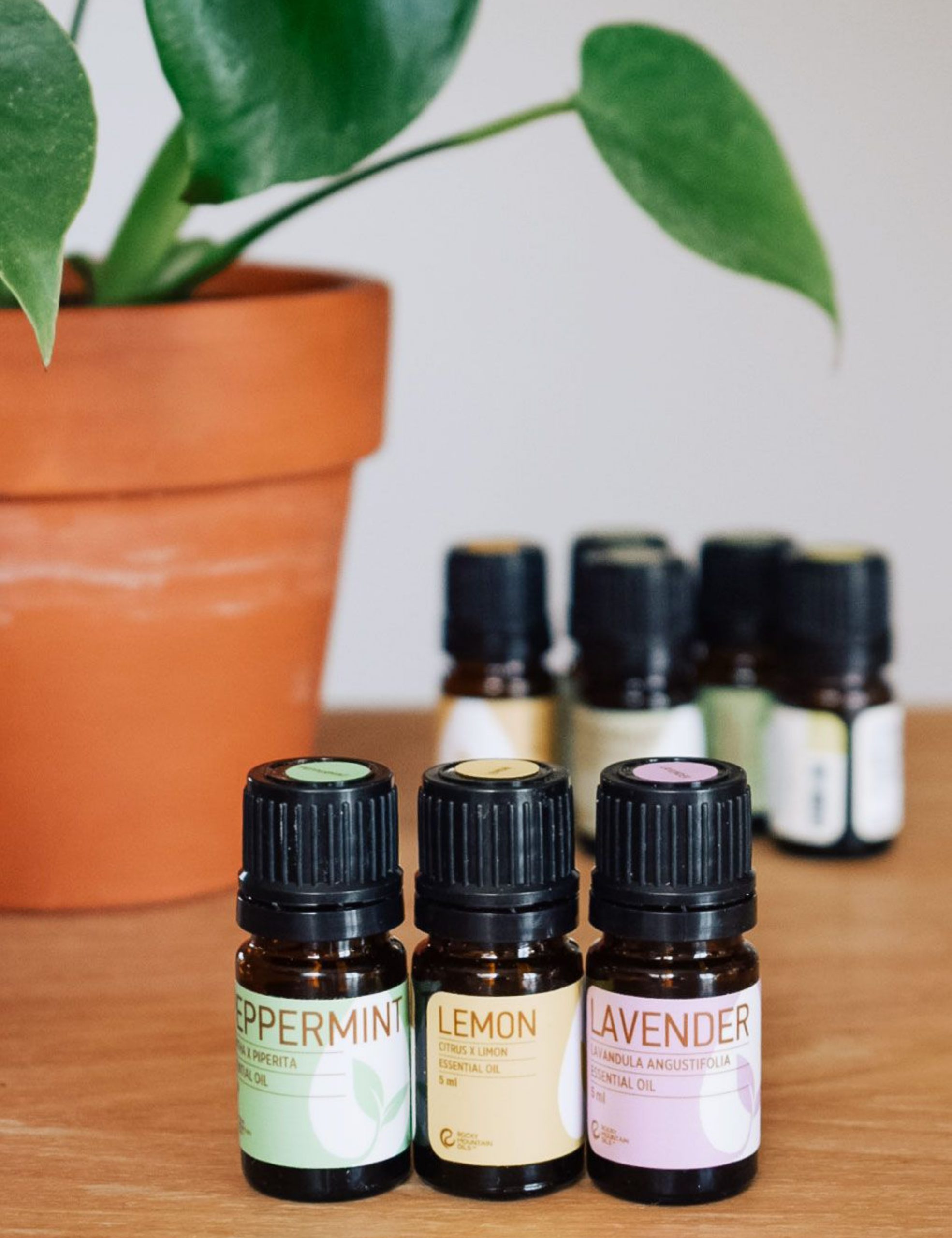 The Power Of Aromatherapy: How Essential Oils Can Benefit Your Skin And ...
