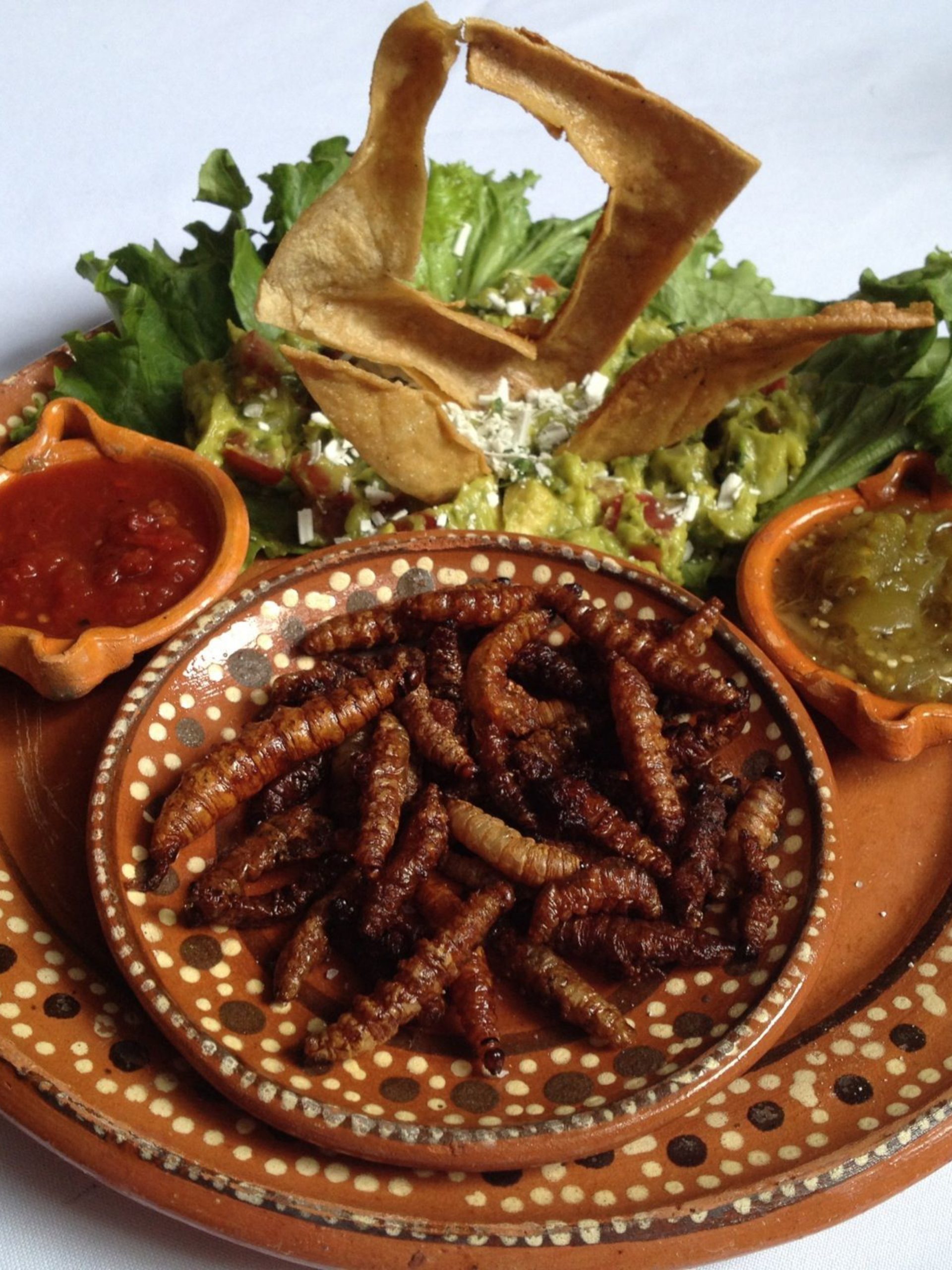 The Future Of Food: What Will We Be Eating In 20 Years? - TheWill Downtown