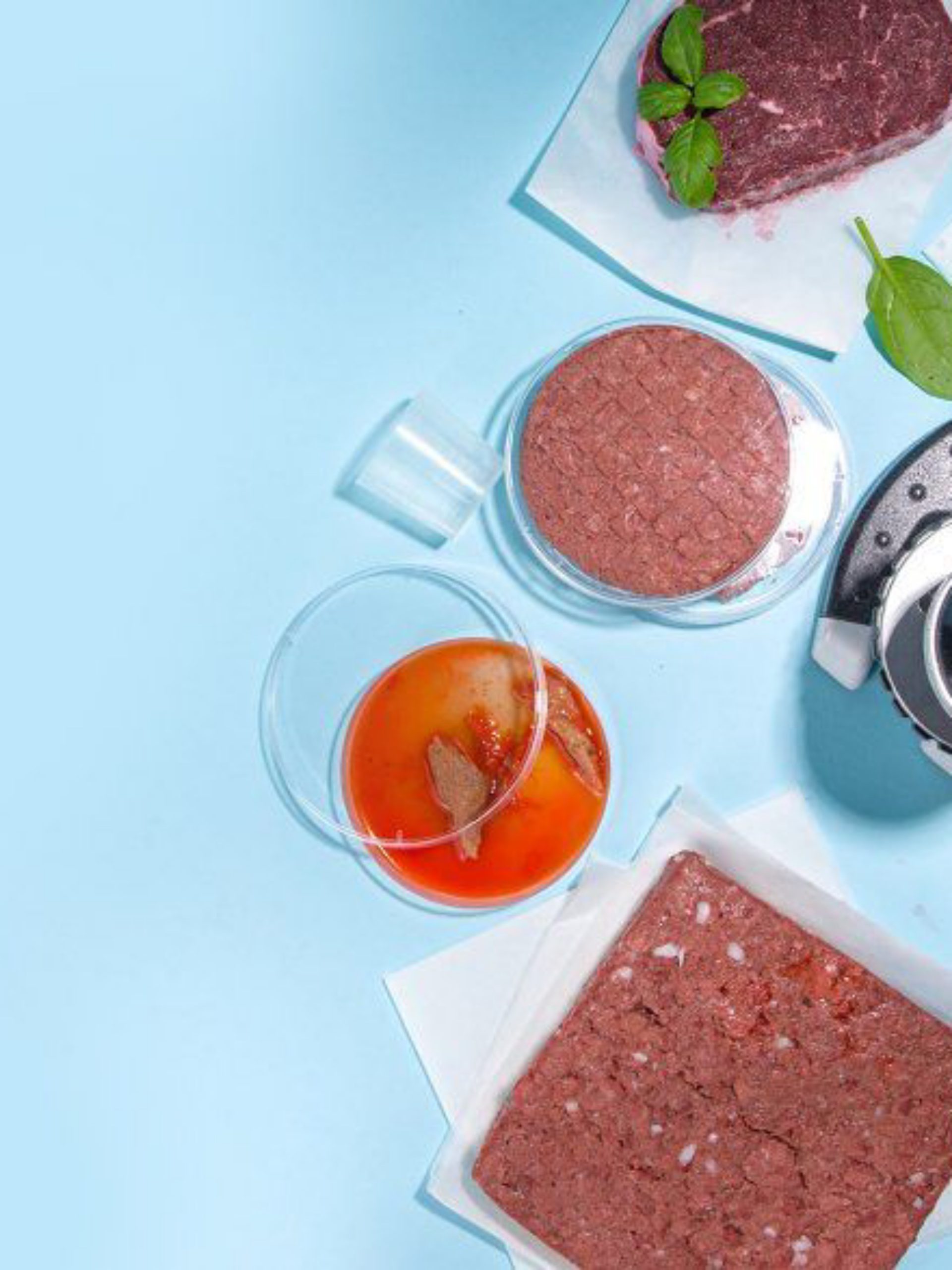 The Future Of Food: What Will We Be Eating In 20 Years? - TheWill Downtown