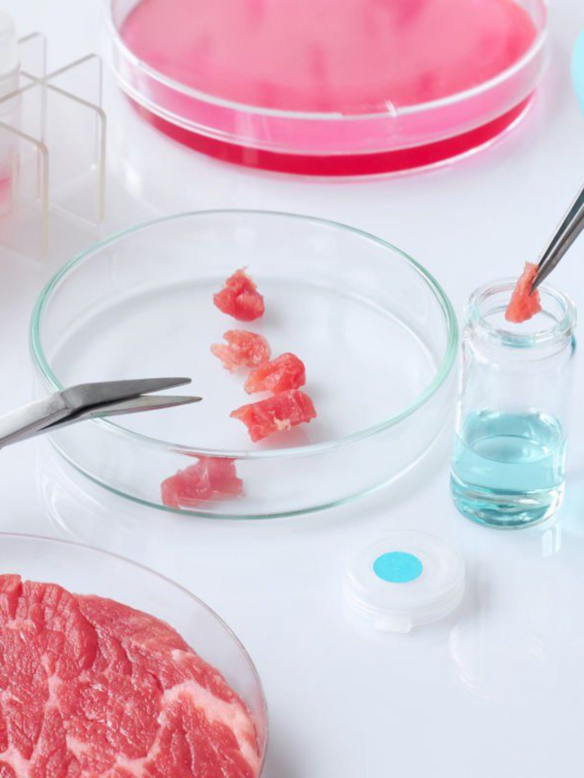 The Future Of Food: What Will We Be Eating In 20 Years? - TheWill Downtown